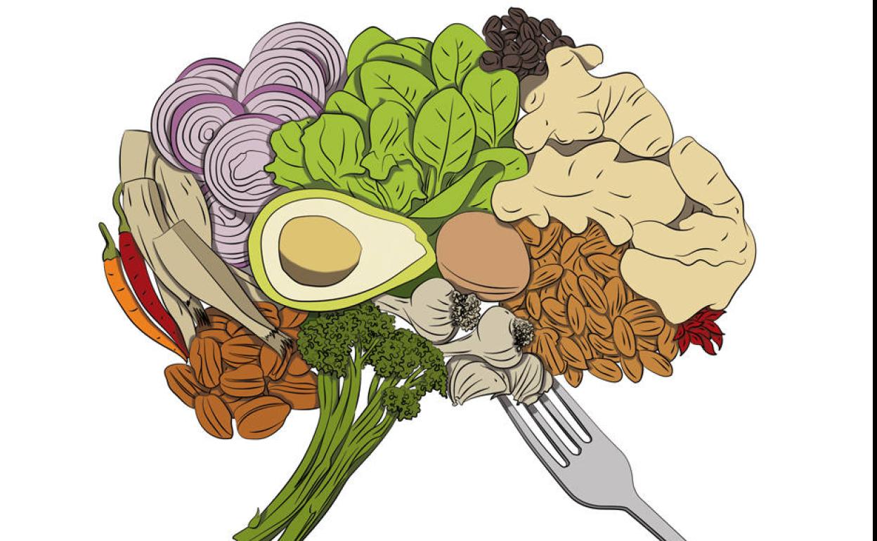 Hay Alimentos Que Mejoran La Actividad Cerebral Radio María Juana
